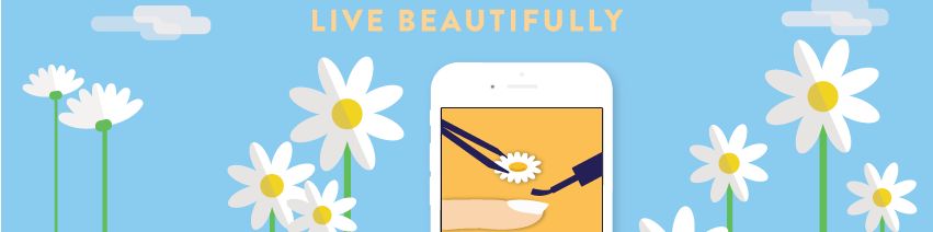 Vanitee(Vanitee) 기업, 채용, 투자, 뉴스